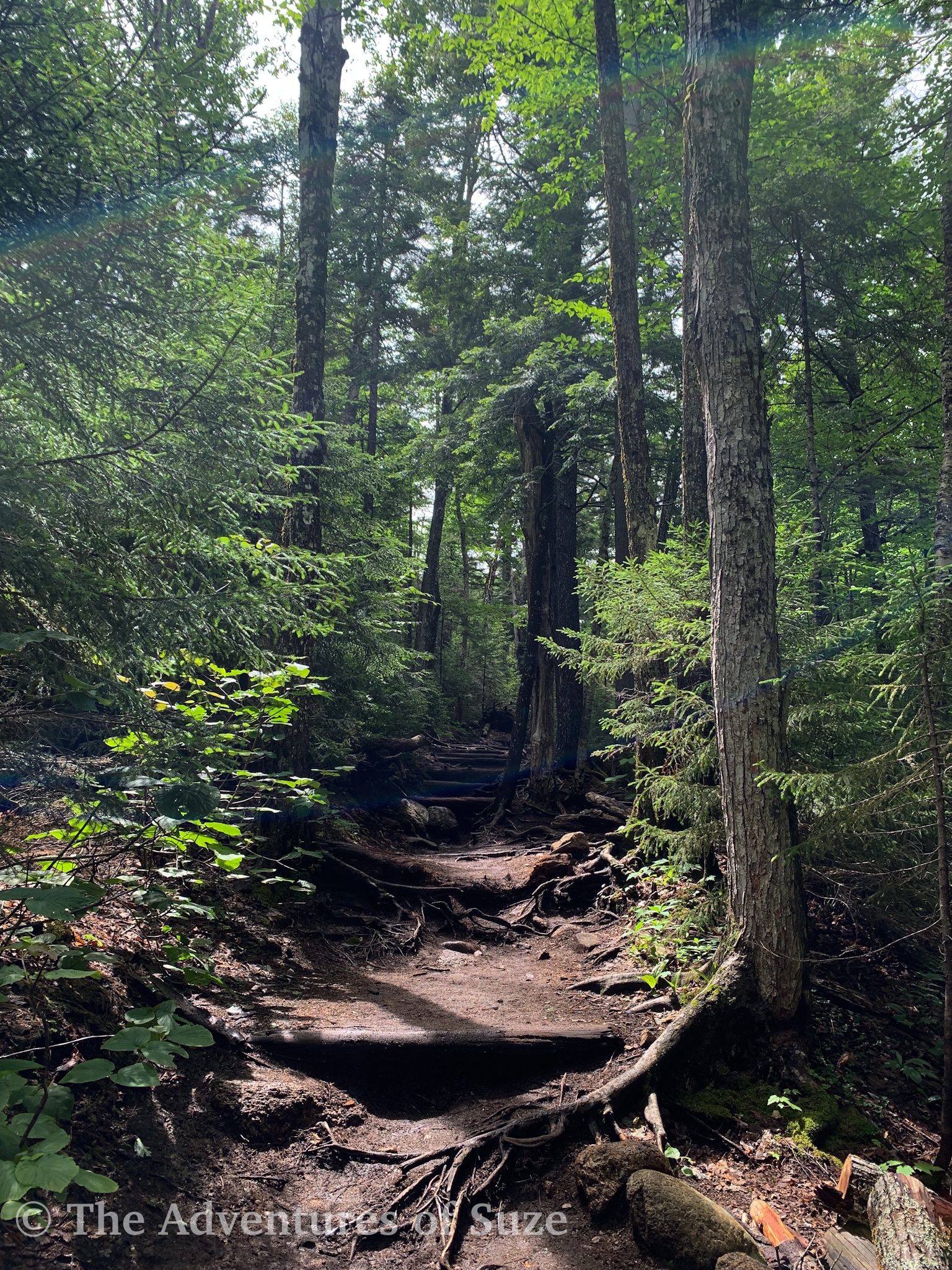 Arethusa Falls and Frankenstein Cliff Loop – New Hampshire – The ...