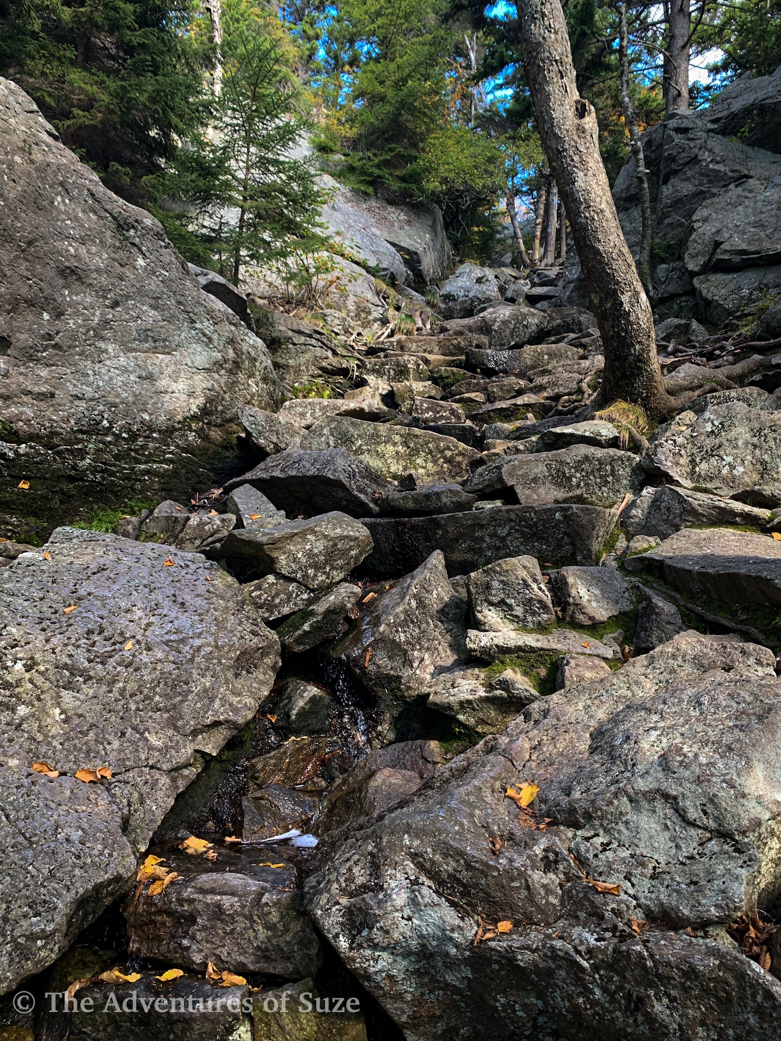 Mount Monadnock – New Hampshire – The Adventures of Suze