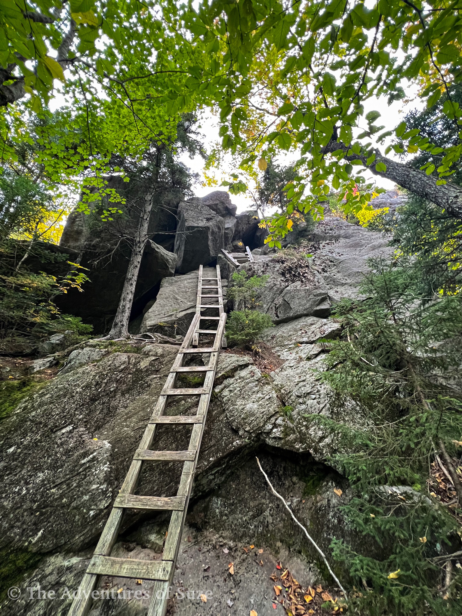 Mt. Morgan and Mt. Percival loop – New Hampshire – The Adventures of Suze
