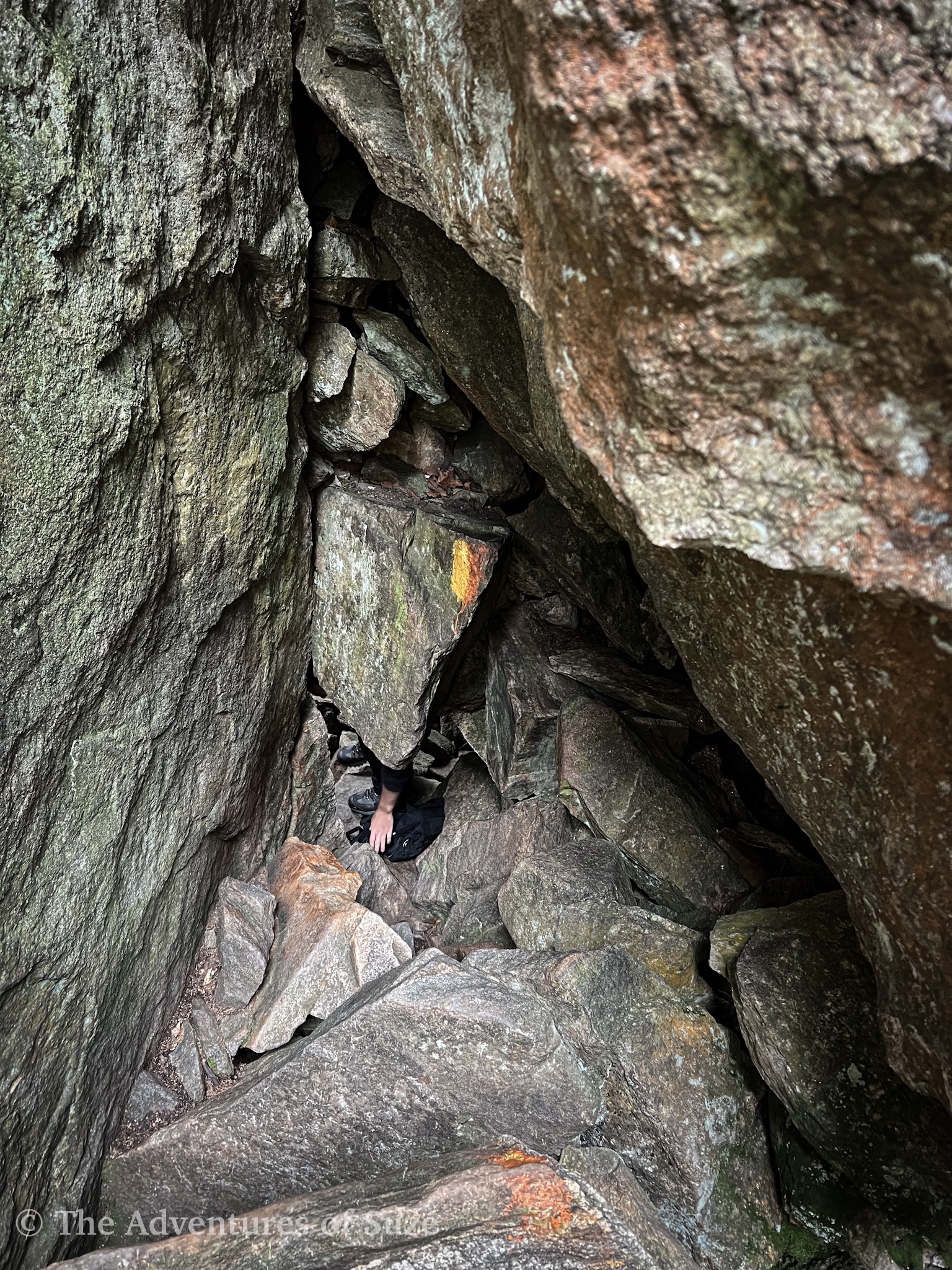 Mt. Morgan and Mt. Percival loop – New Hampshire – The Adventures of Suze